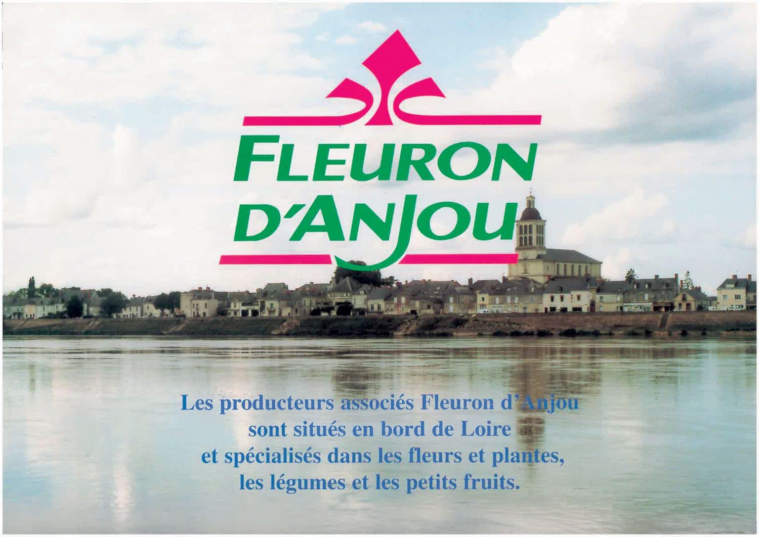 Un groupe coopératif - Fleuron d'Anjou